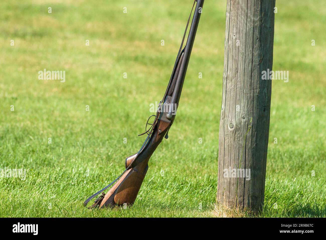 Western rifle on a green field against a log Stock Photo - Alamy