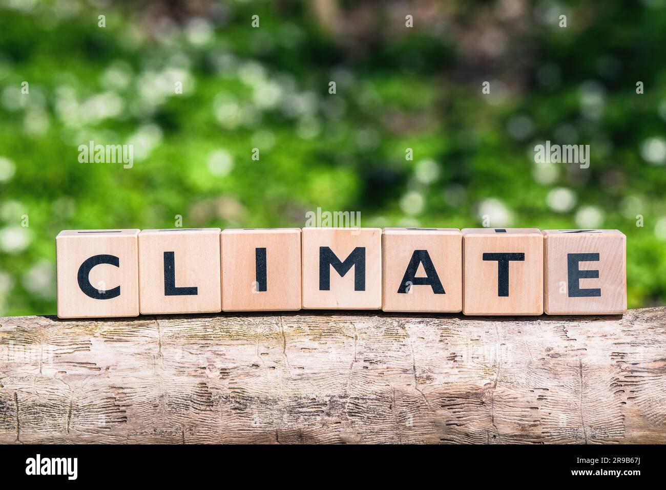 Climate sign in a green forest with trees Stock Photo - Alamy