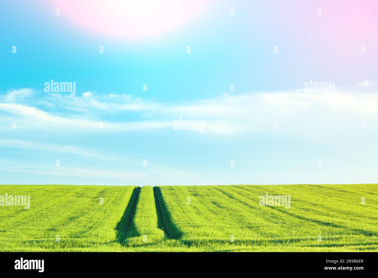 Rural countryside landscape with blue sky and sunlight Stock Photo - Alamy