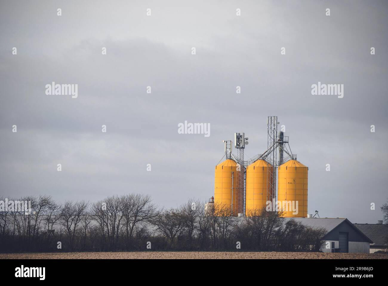 Yellow silos at a farm in rural environment in cloudy weather Stock ...