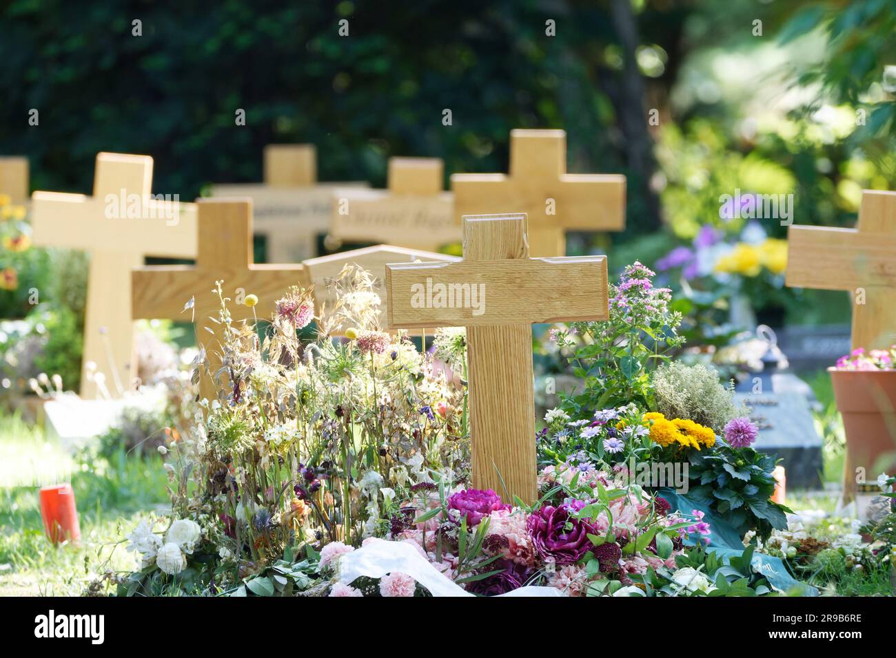 many wooden crosses in a pauper's cemetery Stock Photo - Alamy