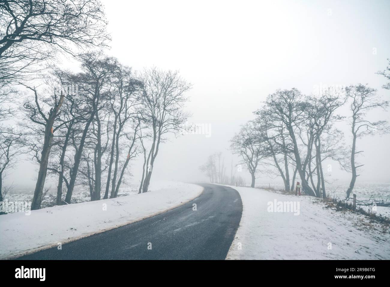 Highway curvy road in a misty winter scenery with snow on the roadside ...