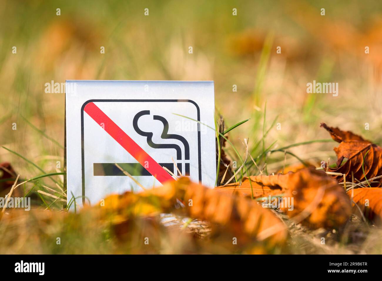 No smoking sign in the nature with autumn leaves in the sun Stock Photo ...