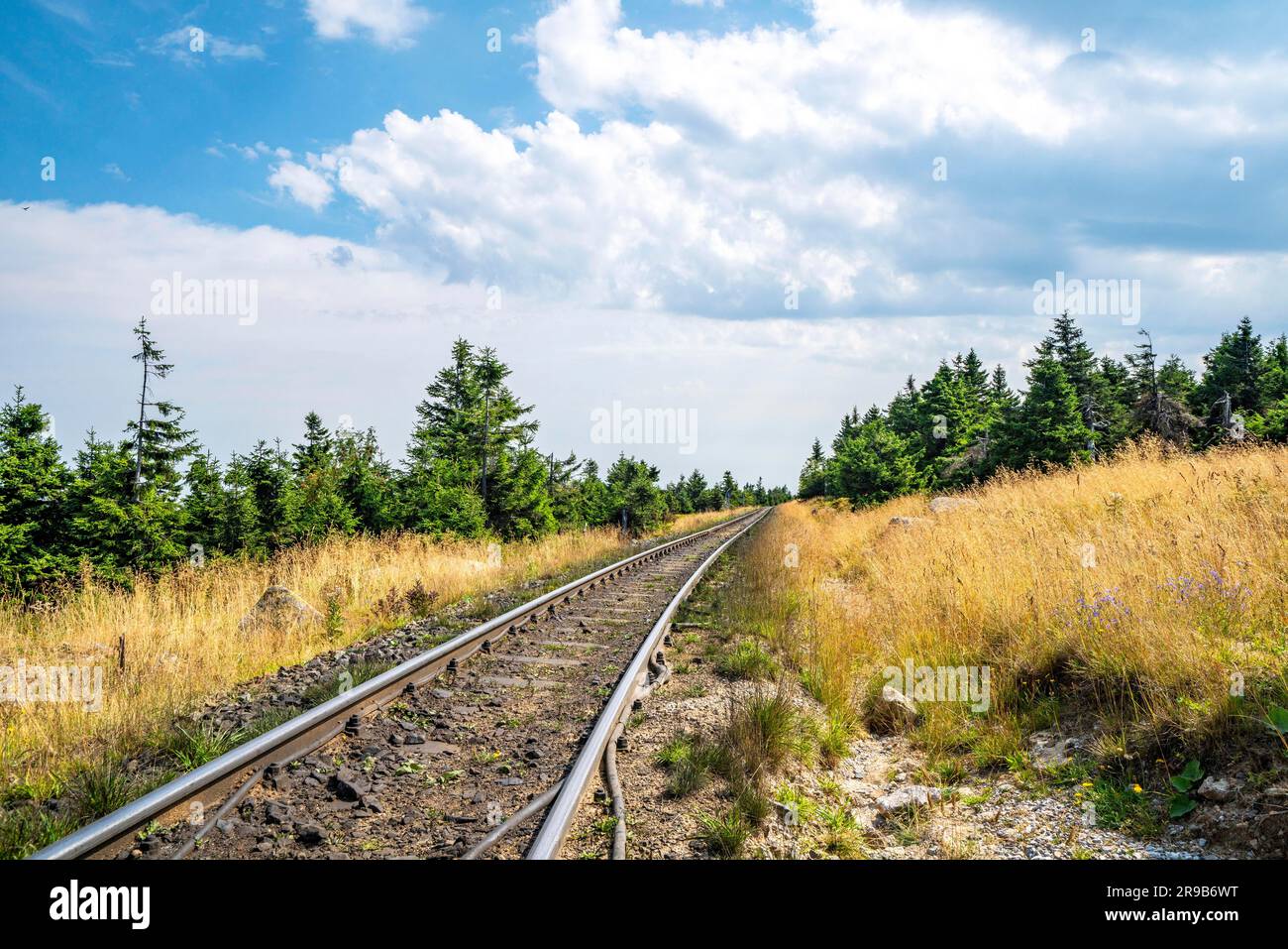 Countryside railroad in a rural environment in the summer Stock Photo ...