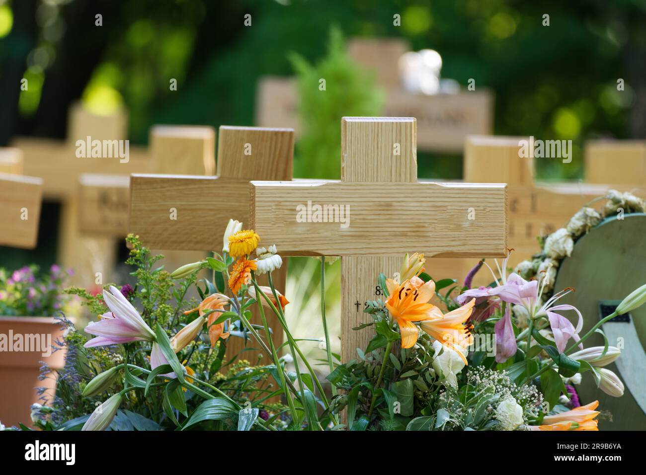 many wooden crosses in a pauper's cemetery Stock Photo - Alamy