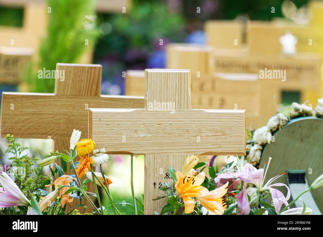 many wooden crosses in a pauper's cemetery Stock Photo - Alamy