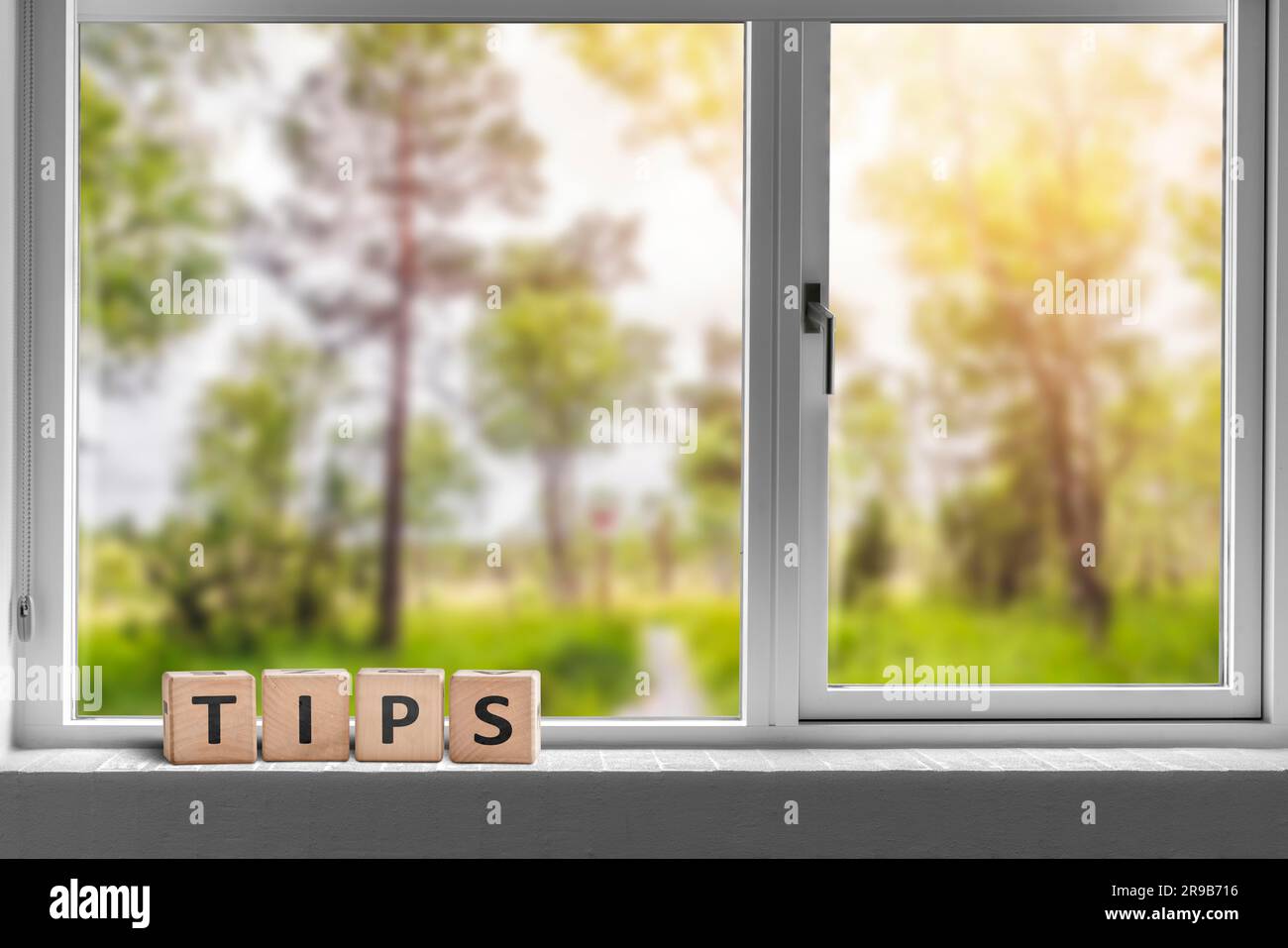 Tips sign in a window with a view to a green garden with tall trees in ...