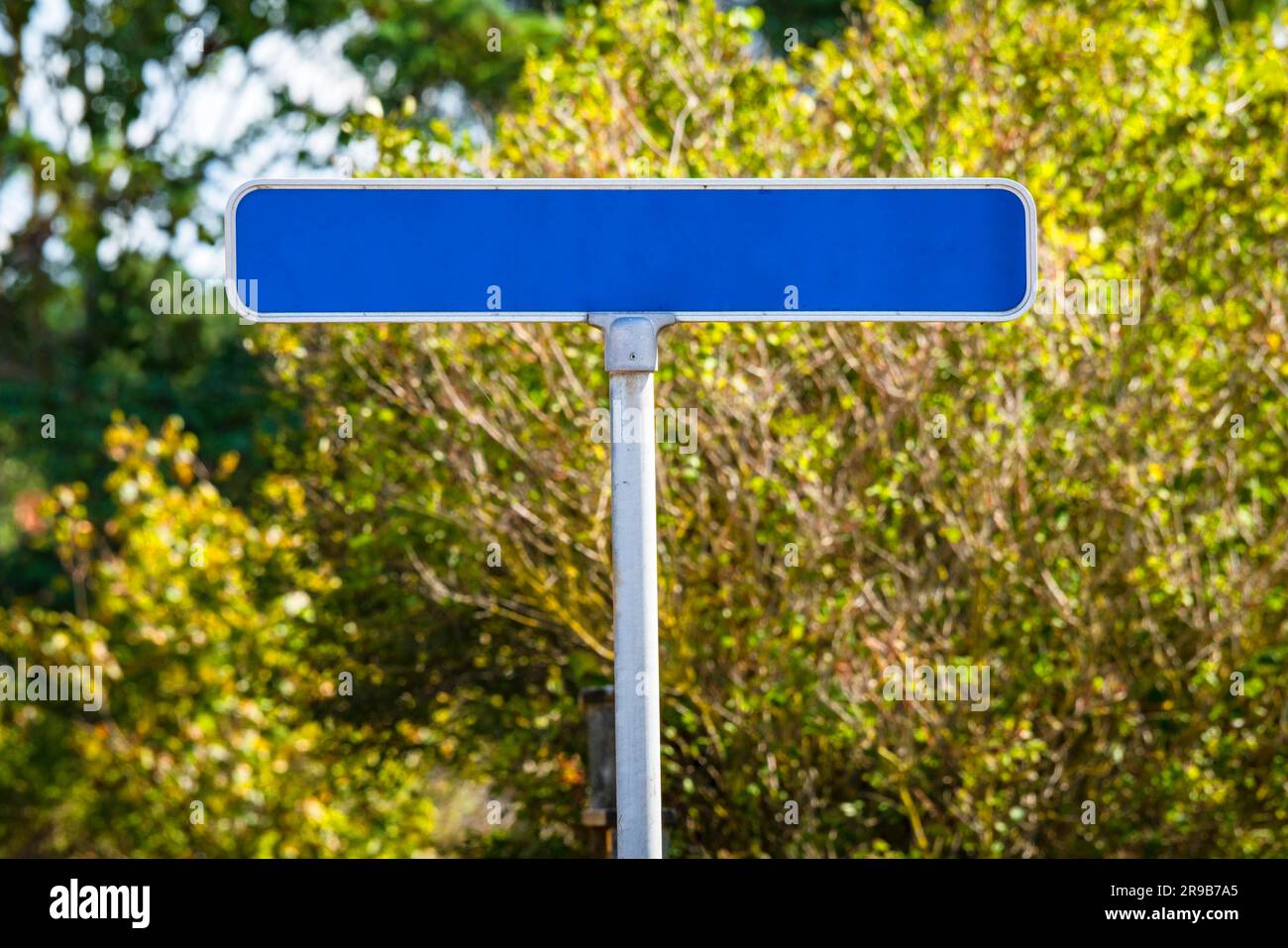 Blue street sign with no text in green nature in the summer Stock Photo ...