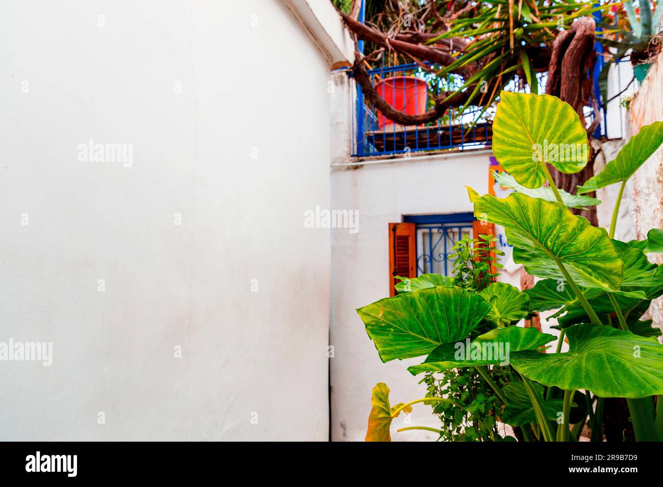 Anafiotika is a scenic tiny neighborhood of Athens, part of the old ...