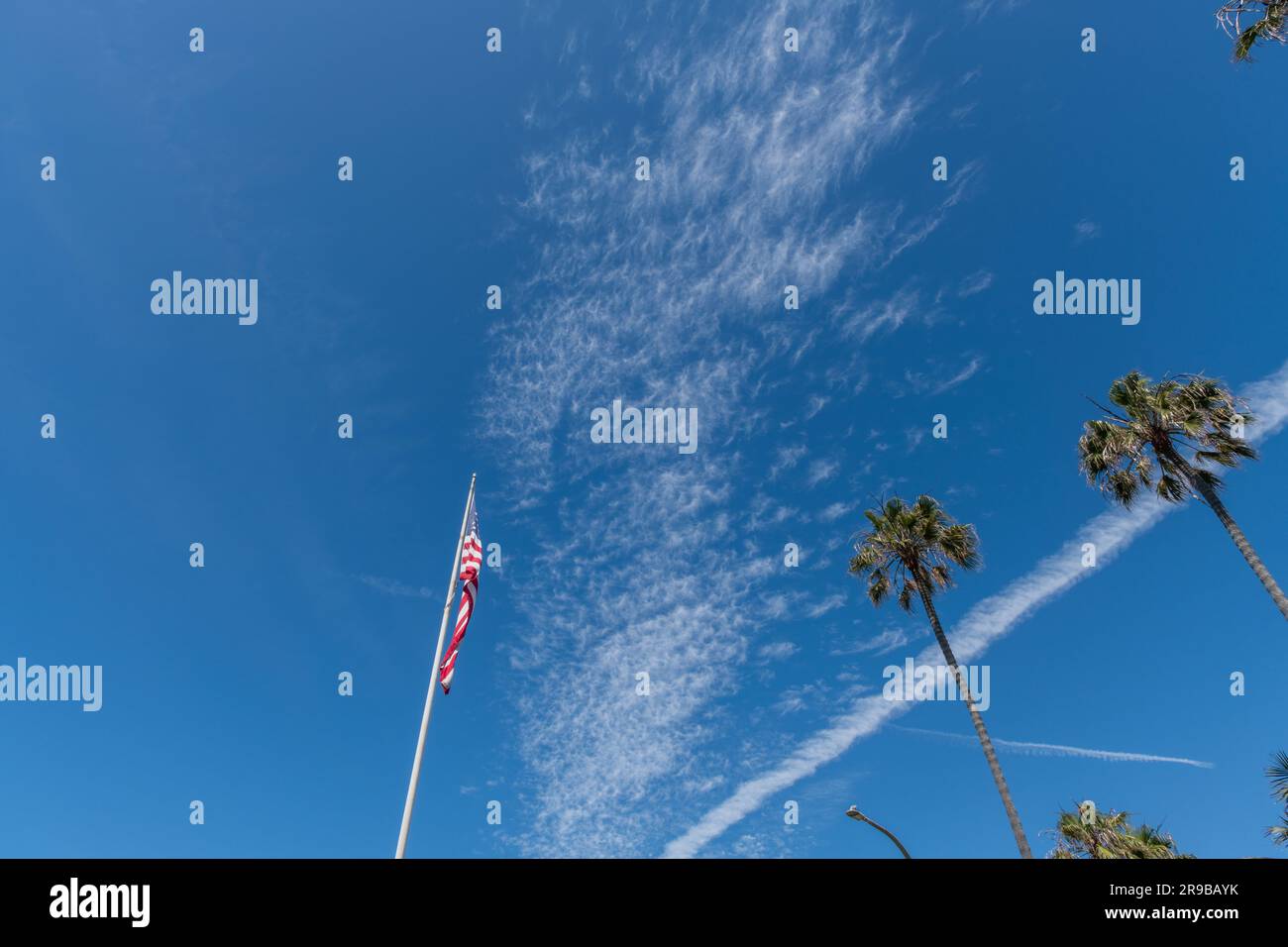 American flag and palm trees under beautiful Southern California sky ...