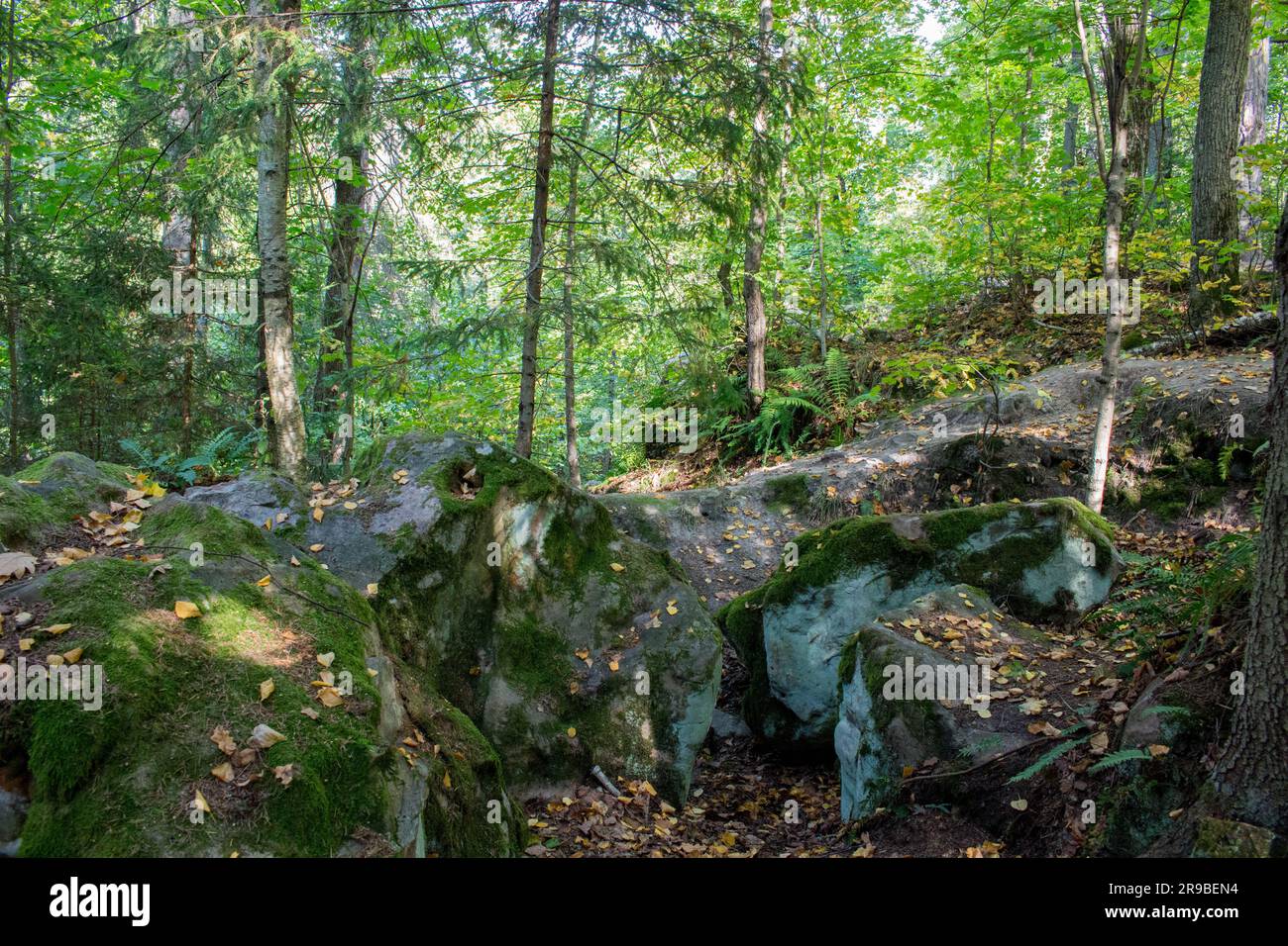 Nature monument "Urochische Chertovo Gorodische" settlement in the ...