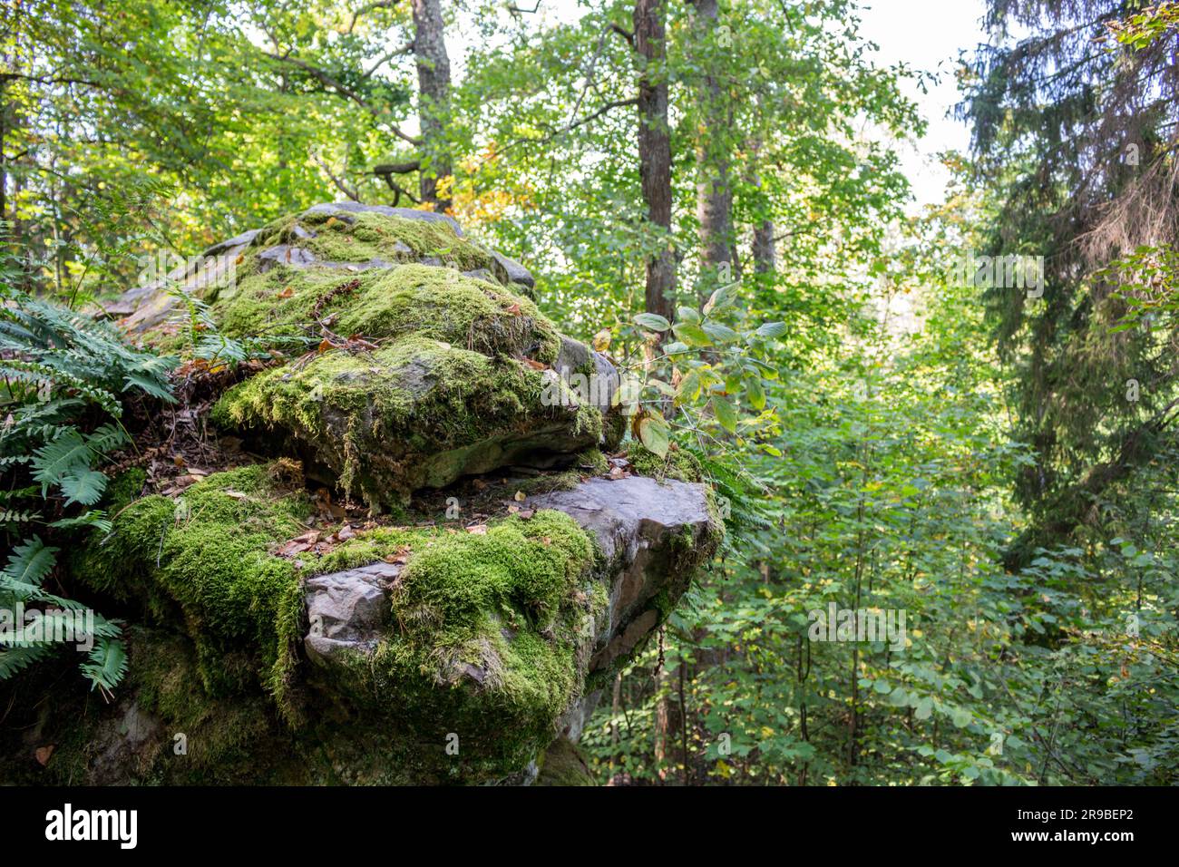 Nature monument "Urochische Chertovo Gorodische" settlement in the ...