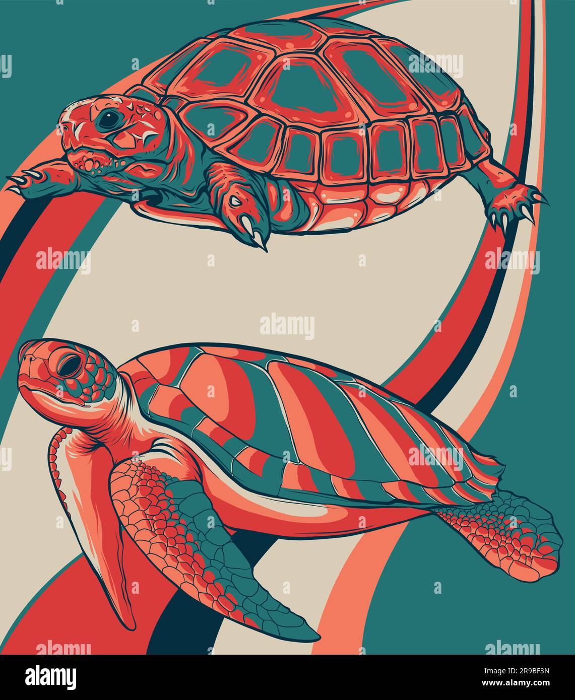Loggerhead Sea Turtle Drawing