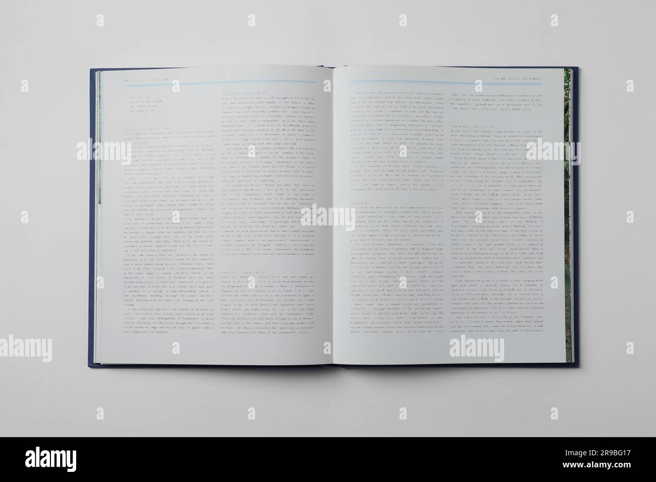 Open book on white background, top view Stock Photo - Alamy