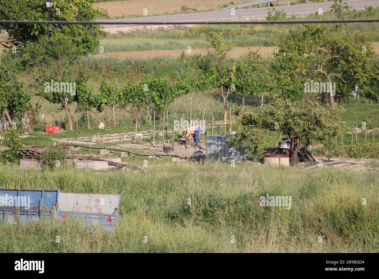 Labriego hi-res stock photography and images - Alamy