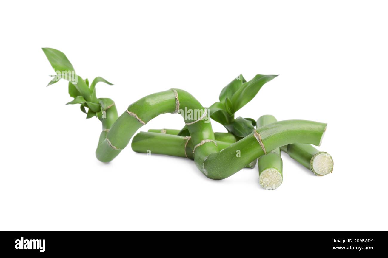 Pieces of beautiful green bamboo stems on white background Stock Photo ...
