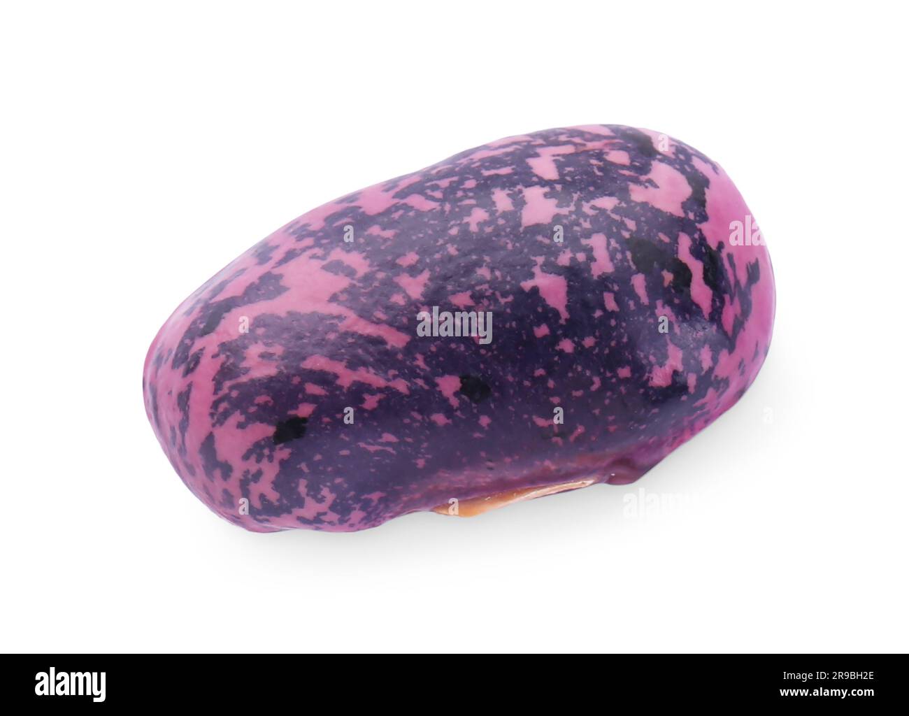 Dry kidney bean isolated on white, top view Stock Photo - Alamy