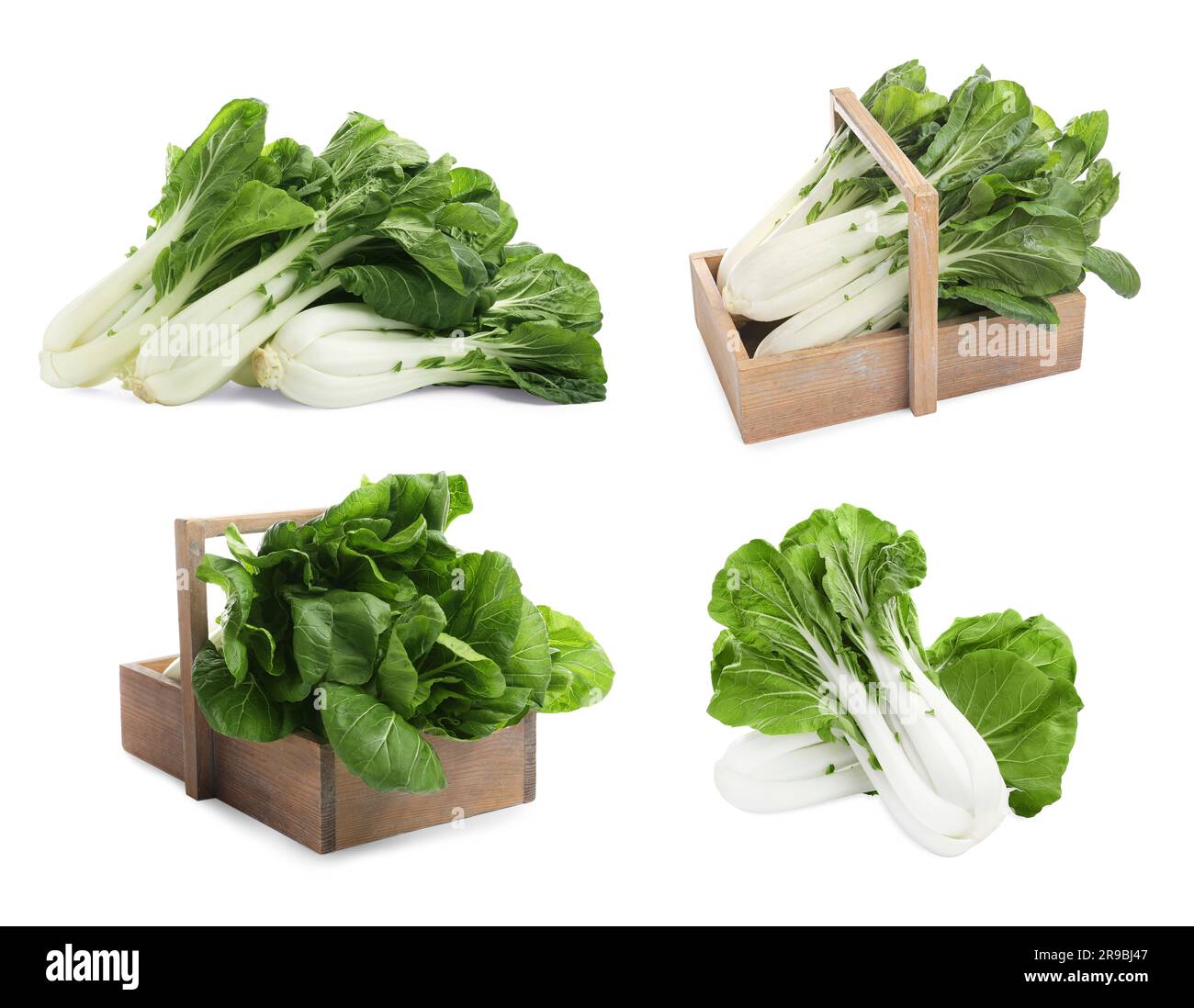 Collage with fresh pak choy cabbages on white background Stock Photo ...