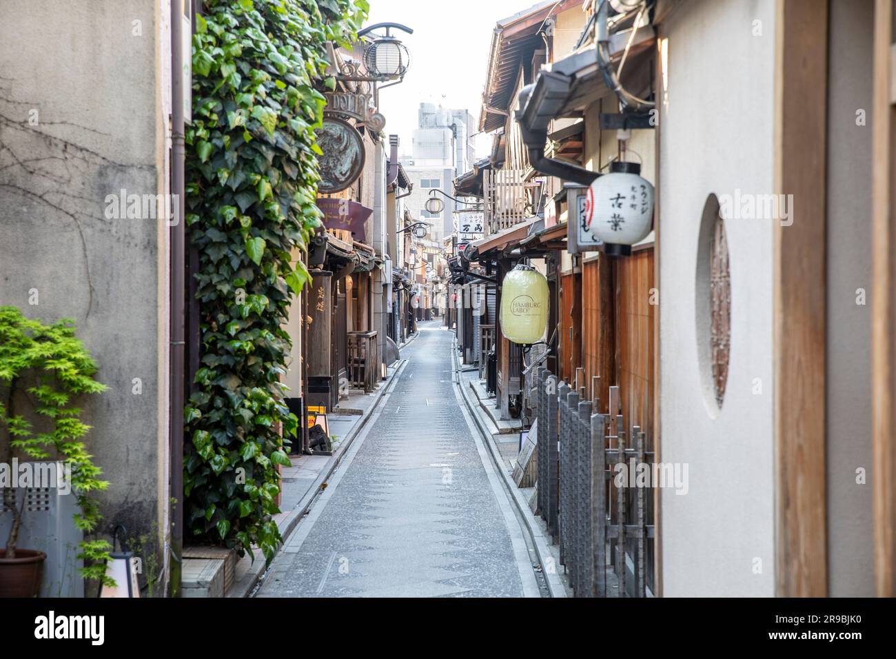 2023 pontocho alley in downtown kyoto, famous alley and laneway ...