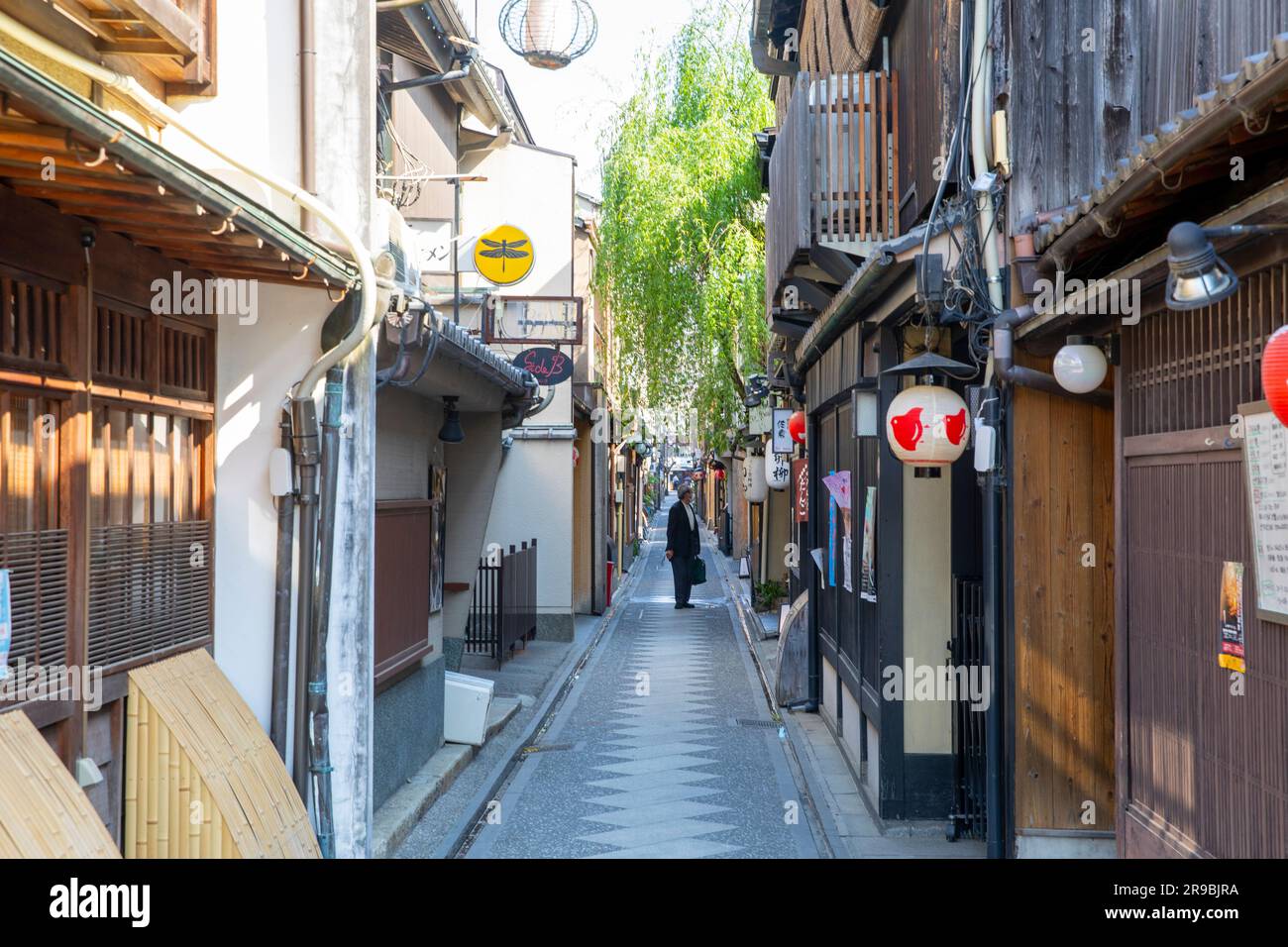 2023 pontocho alley in downtown kyoto, famous alley and laneway ...