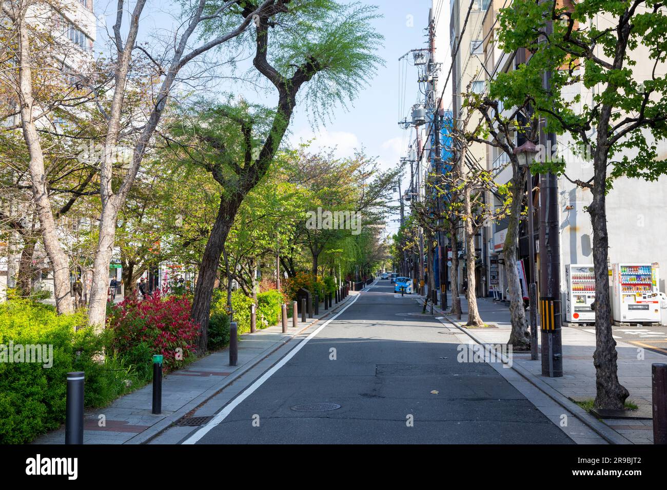 Kyoto, street scene in downtown Kyoto city centre, Japan, Asia, 2023 ...
