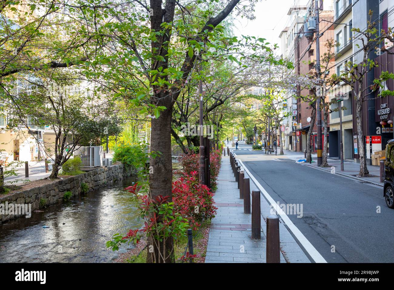 Kyoto, street scene in downtown Kyoto city centre, Japan, Asia, 2023 ...