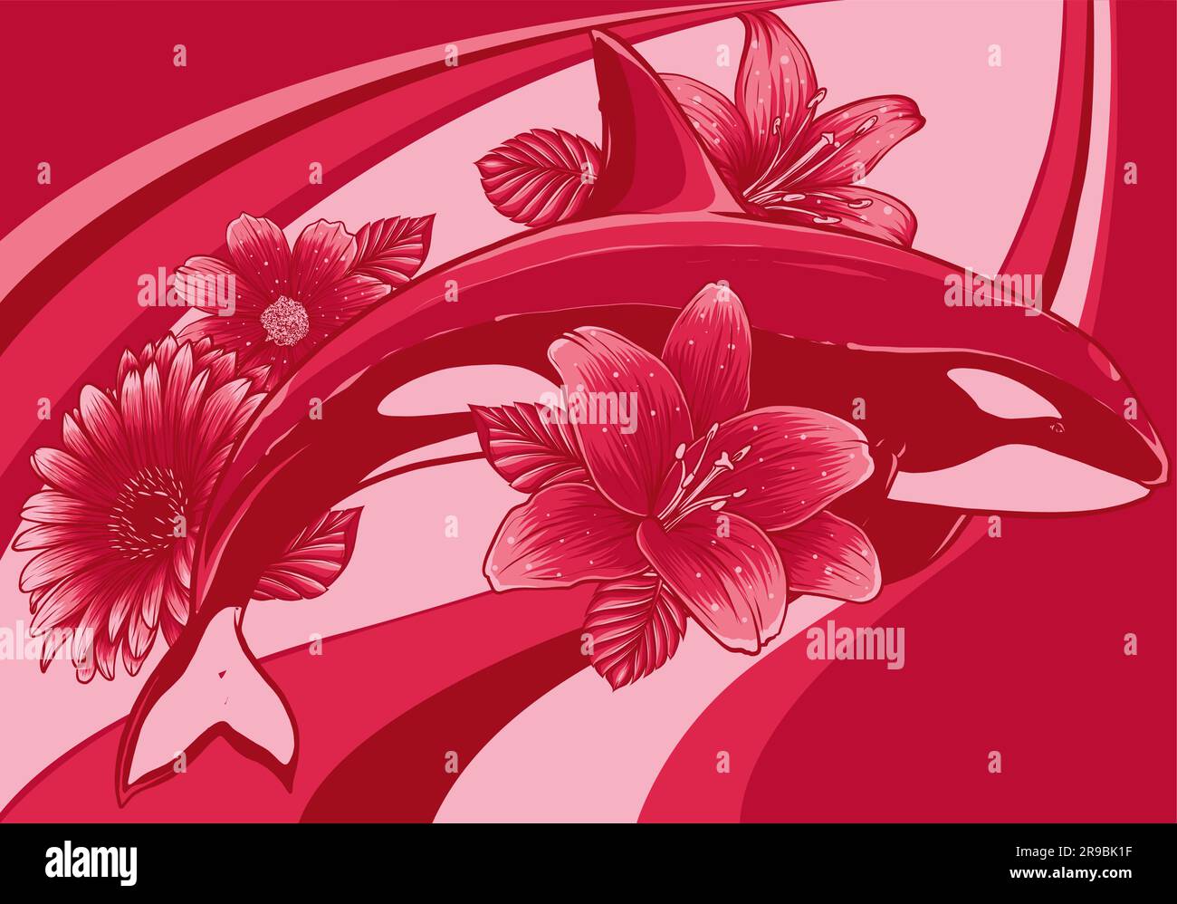 Killer Whale Spirit Orca Jumping Vector illustration on colored ...