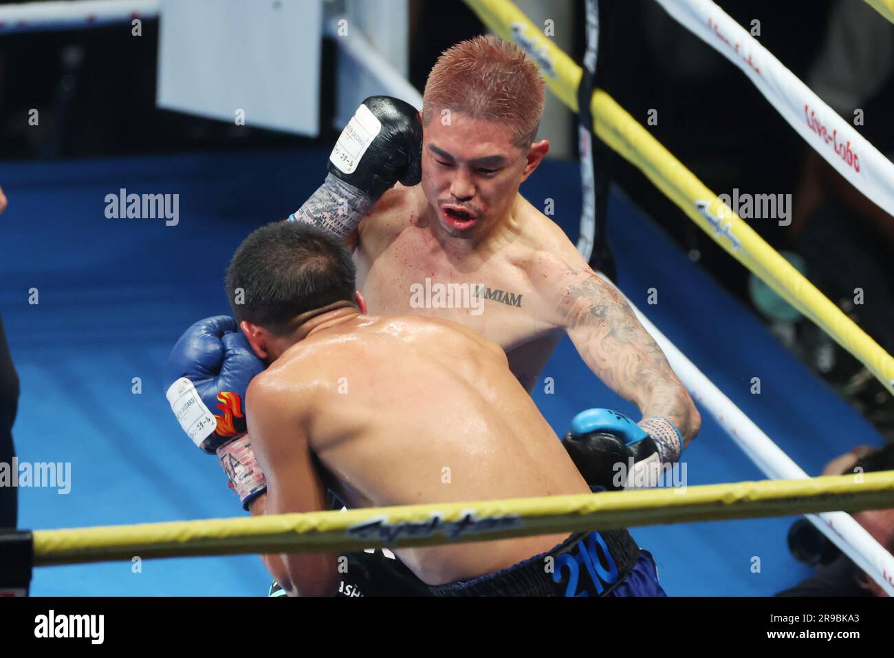 Tokyo, Japan. 24th June, 2023. Kazuto Ioka (JPN) Boxing : WBA World ...