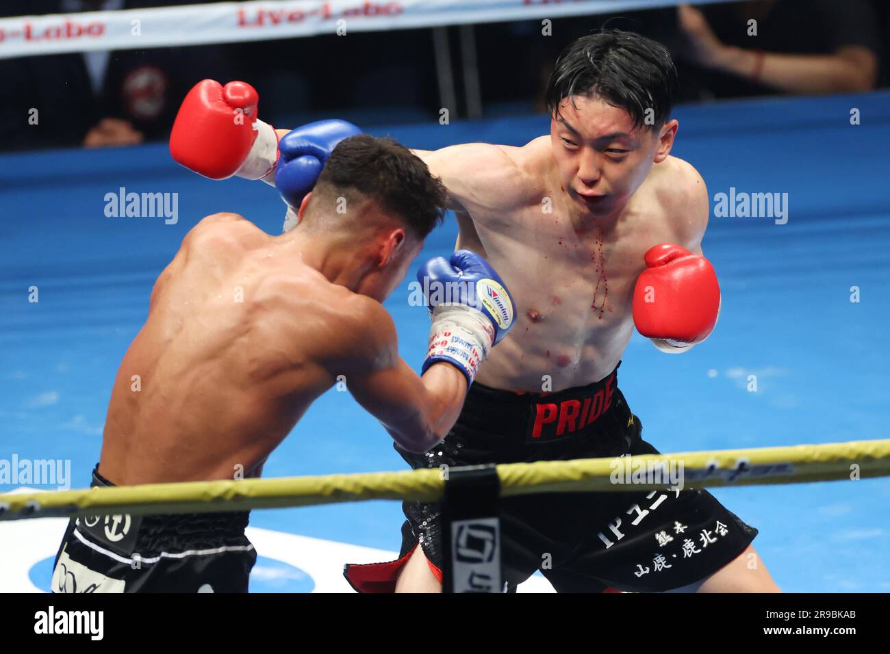 Tokyo, Japan. 24th June, 2023. Musashi Mori (JPN) Boxing : OPBF Super Feather weight ...