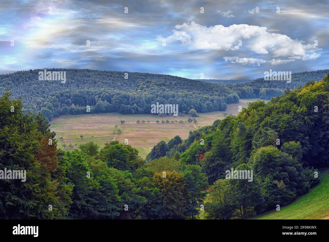 Nature undisturbed in the outdoors of Europe Stock Photo - Alamy