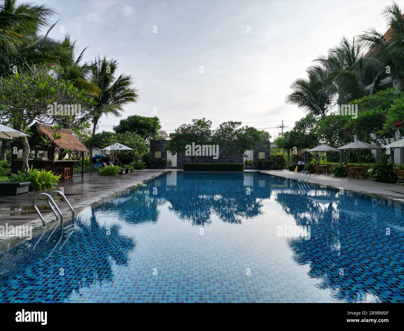 A stunning blue swimming pool surrounded by lush palm trees and outdoor seating, El Hotel Royal ...