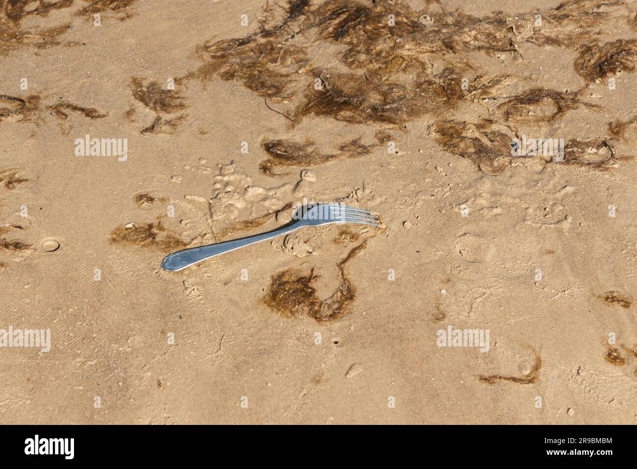 Fork forgotten on the beach surrounded by seaweed Stock Photo - Alamy