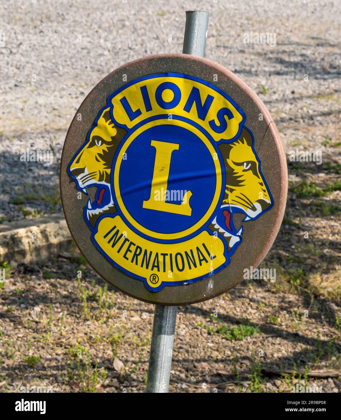 Lioness Club Logo Vector