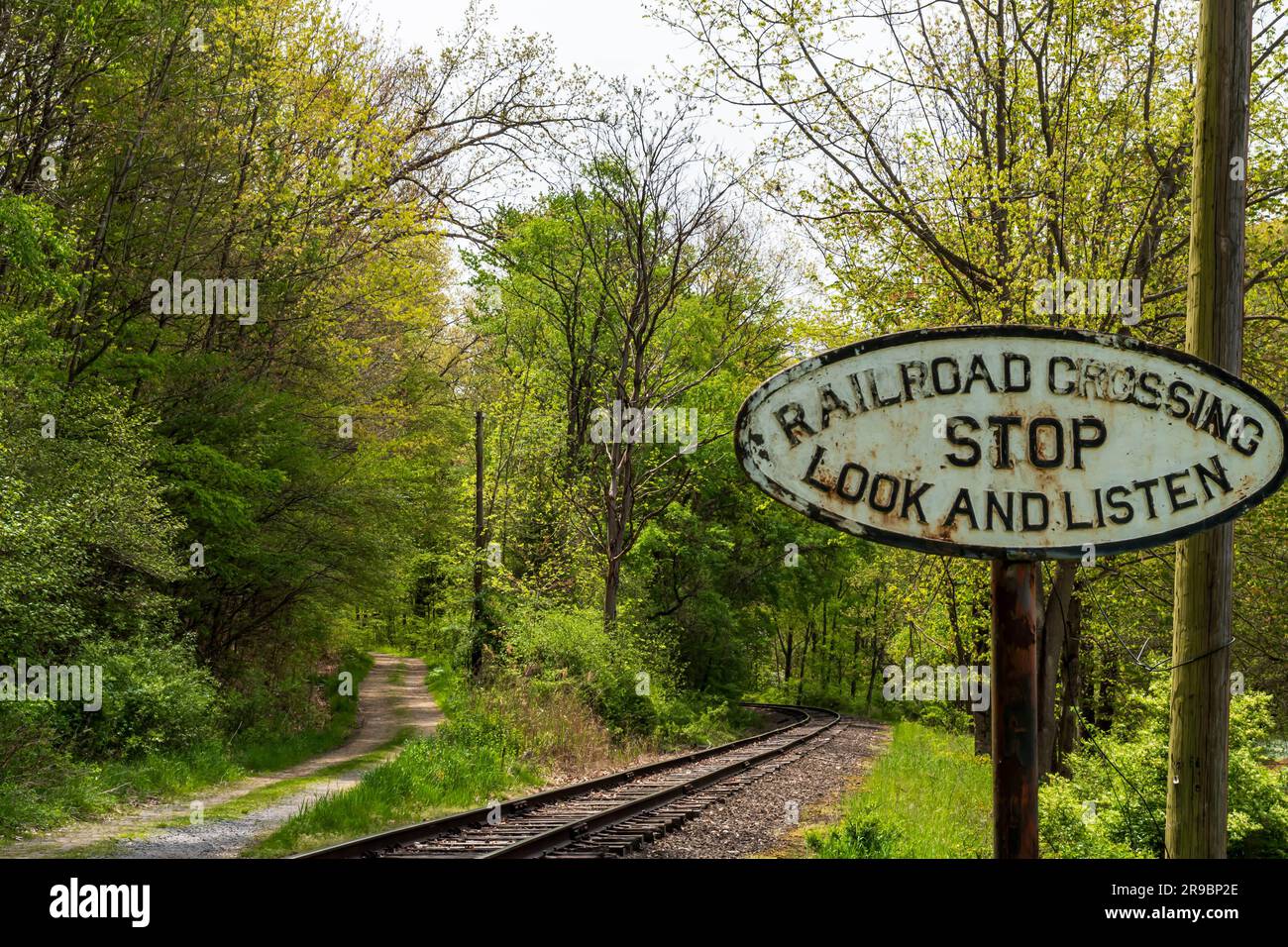A railroad crossing sign next to tracks in the woods in Titusville ...