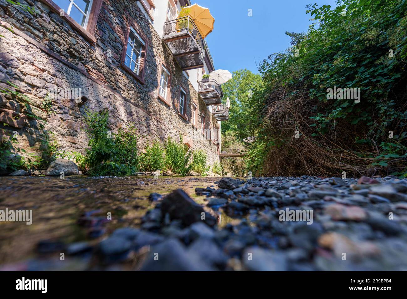 Darmstadt, Germany. 25th June, 2023. The Modau flows through the ...