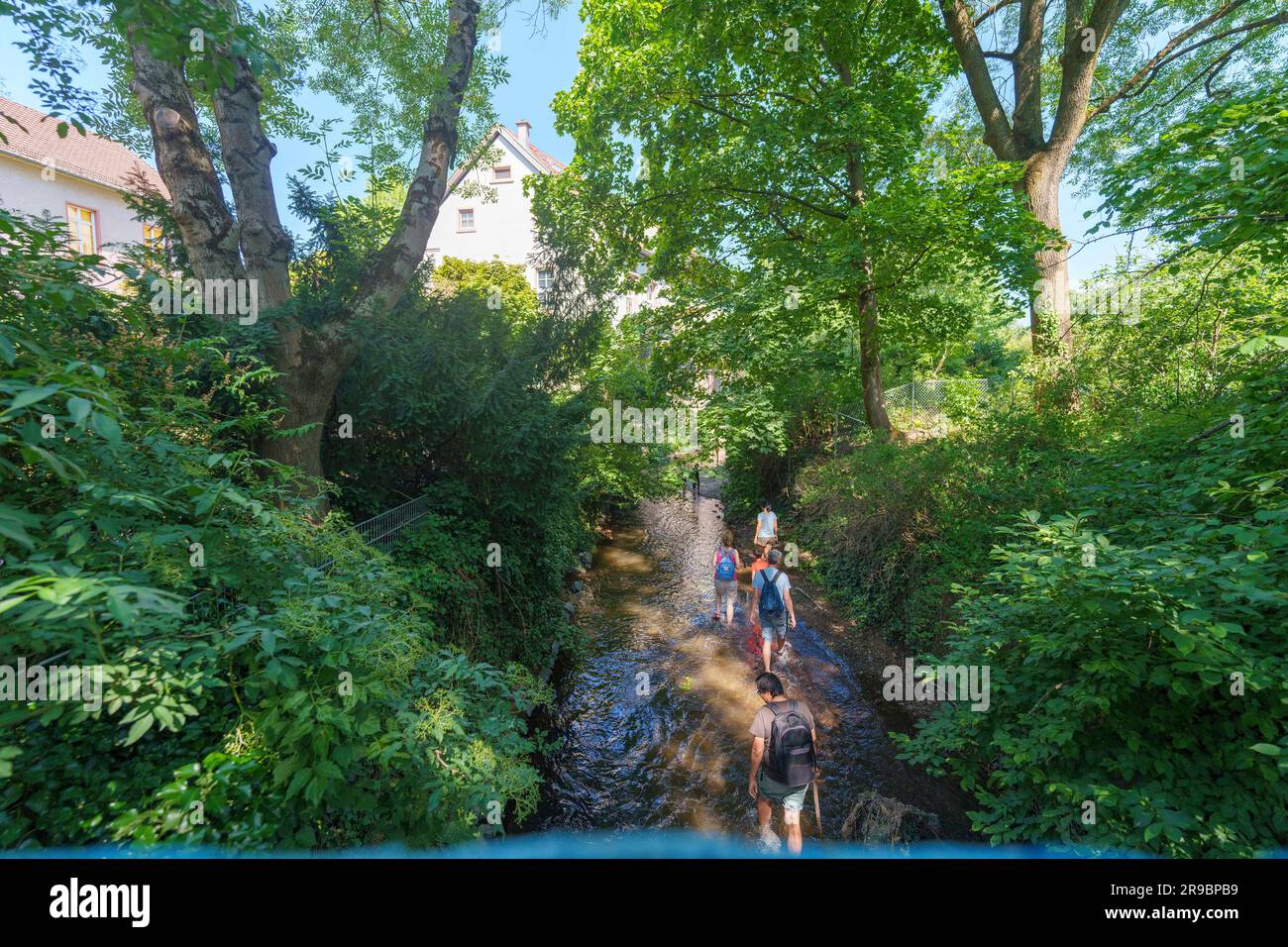 Modau river hi-res stock photography and images - Alamy