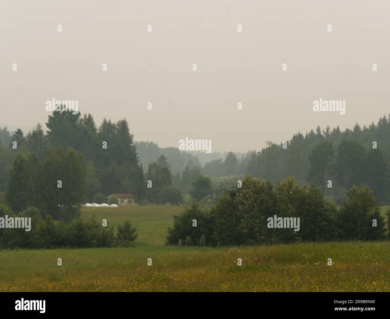 Northern canada forest fire hi-res stock photography and images - Alamy