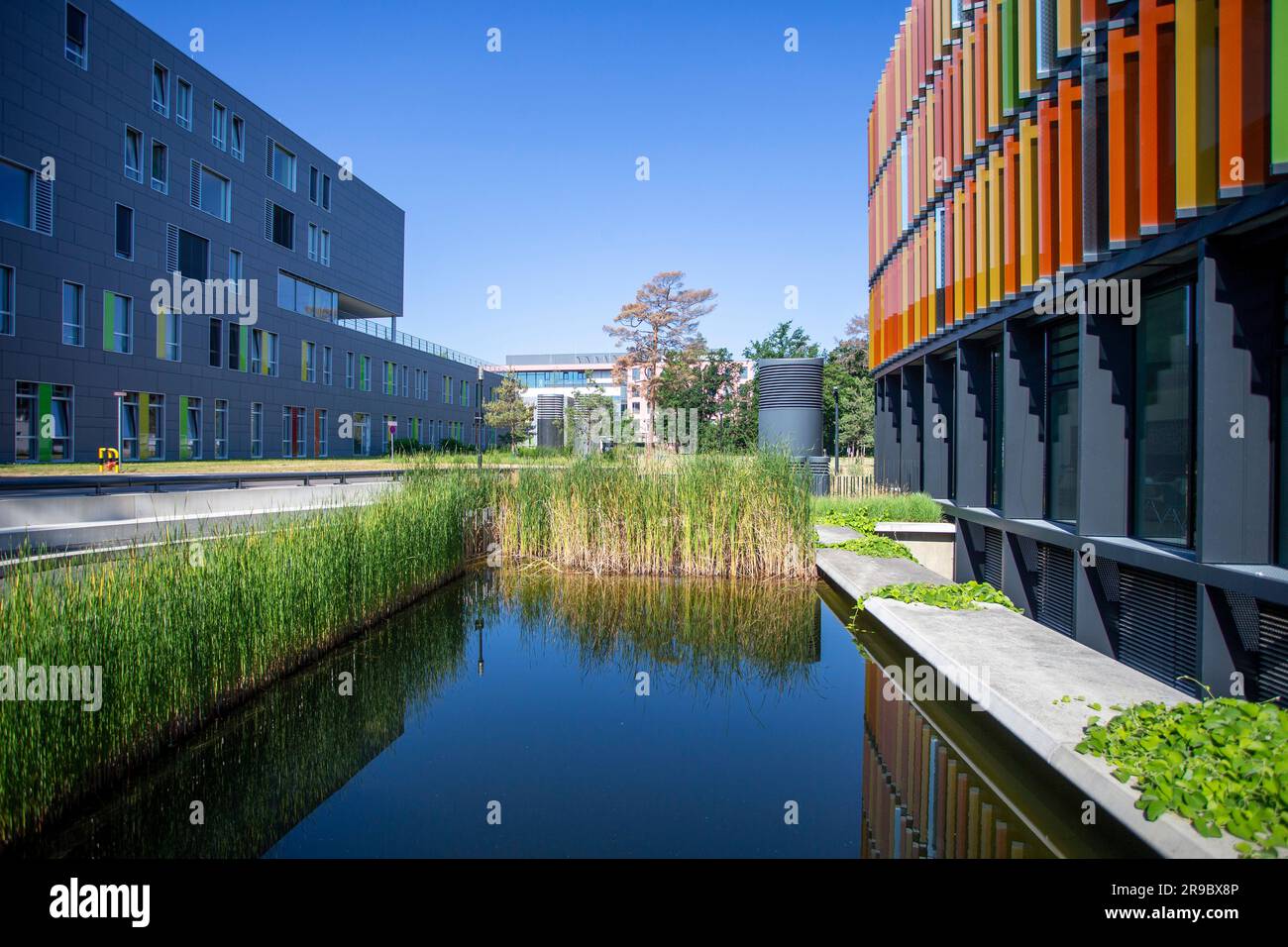 Bonn, Germany. 25th June, 2023. View of the extinguishing water pond on ...
