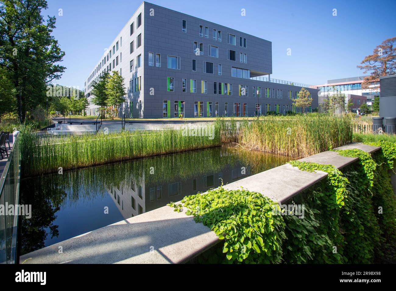 Bonn, Germany. 25th June, 2023. View of the extinguishing water pond on ...