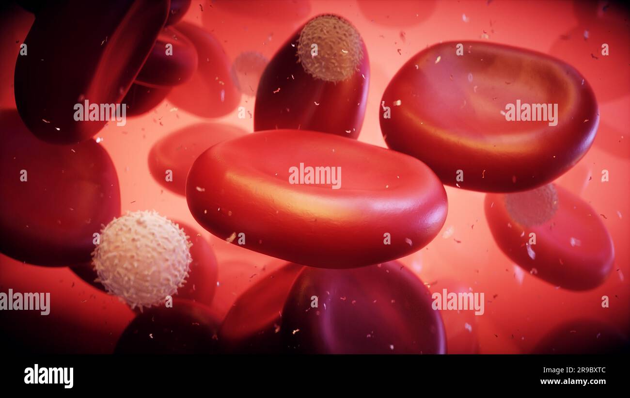 Blood cell inside human body. Nanomedecine concept. 3d rendering Stock ...