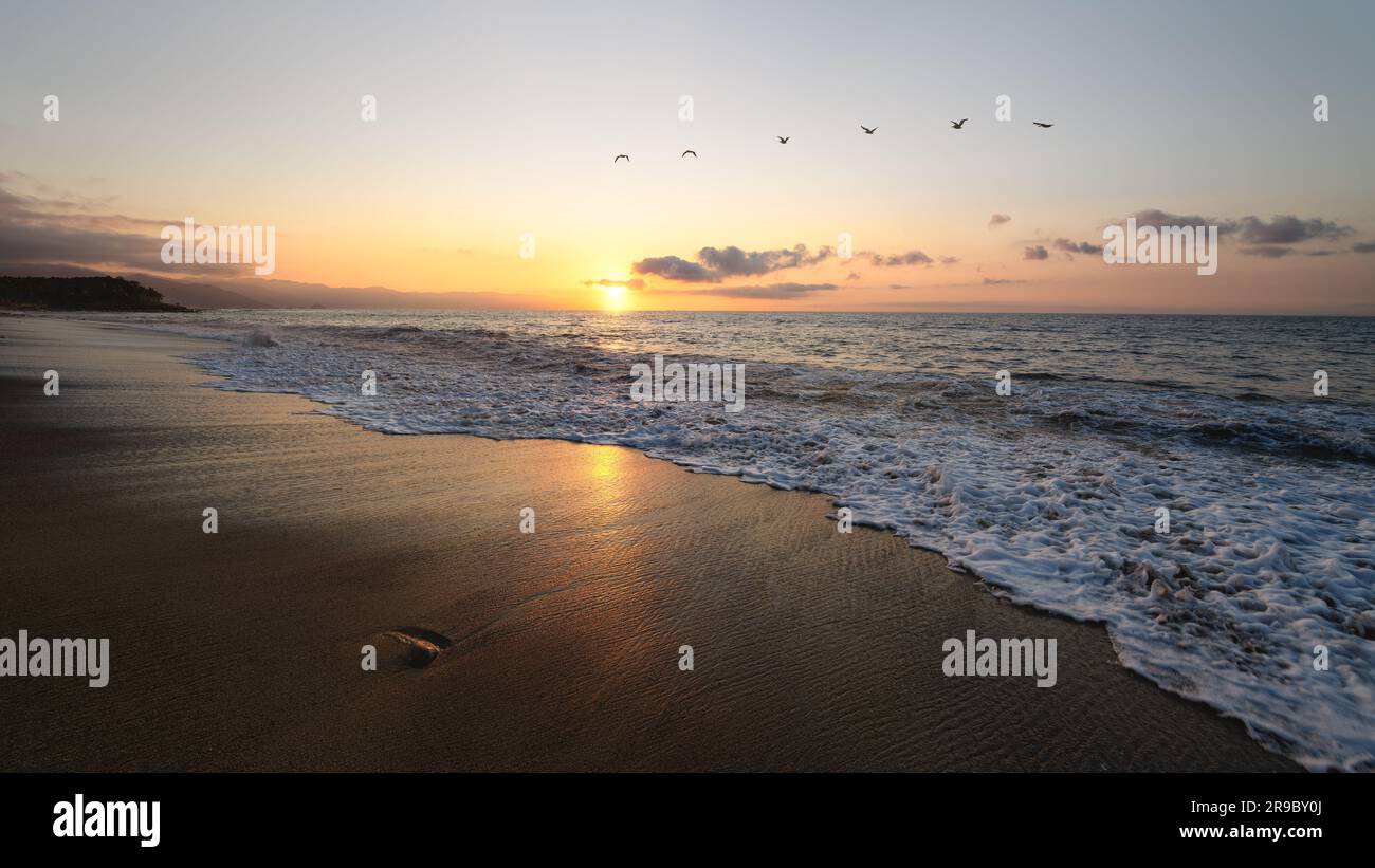 A Colorful Orange Ocean Sunset With A Flock Of Birds Flying On The ...