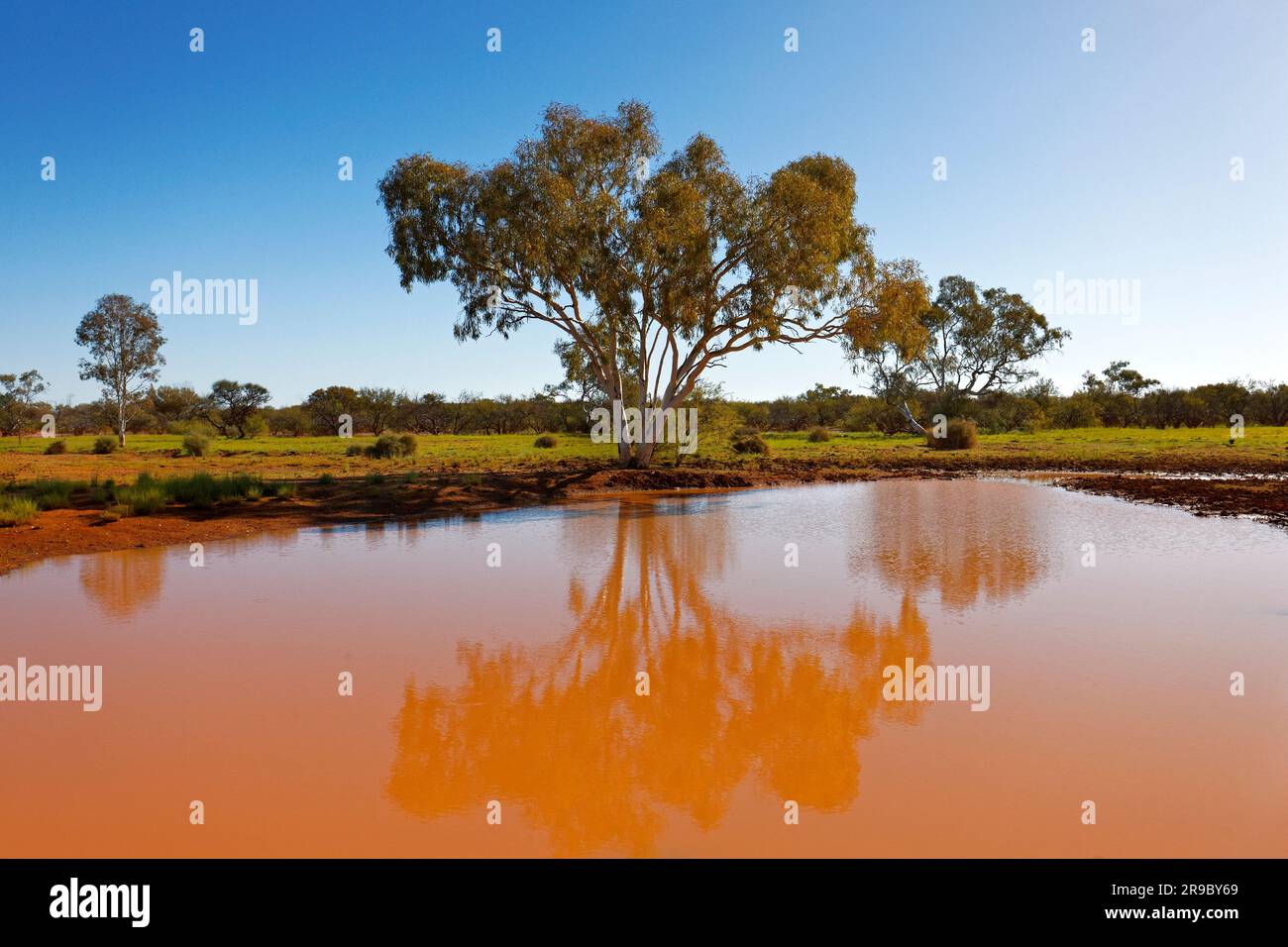 Outback australian billabong water hole hi-res stock photography and ...
