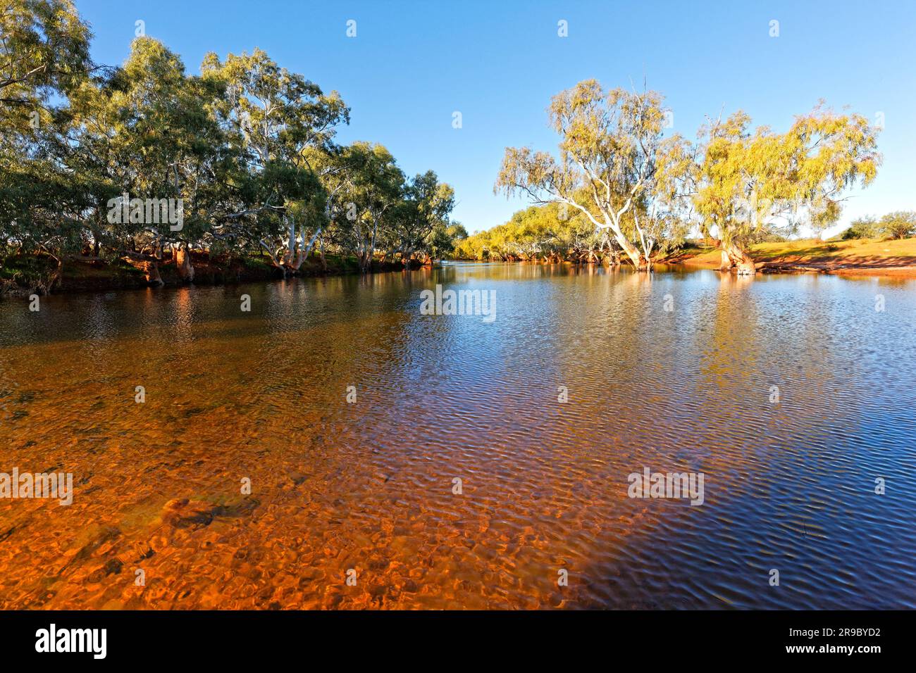 Billabong in Australian outback, Midwest, Western Australia Stock Photo ...
