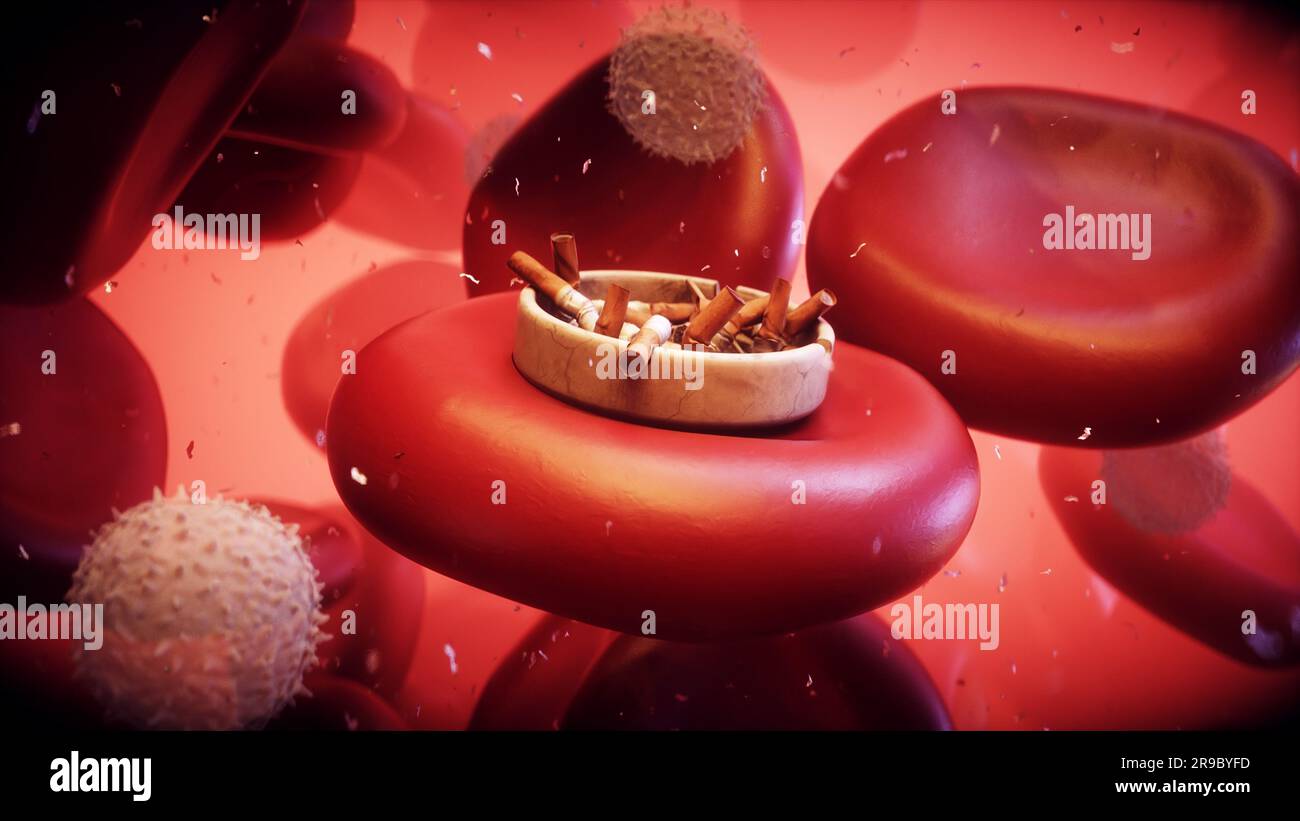 Cigarets and blood cell inside human body. harm of smoking concept. 3d ...