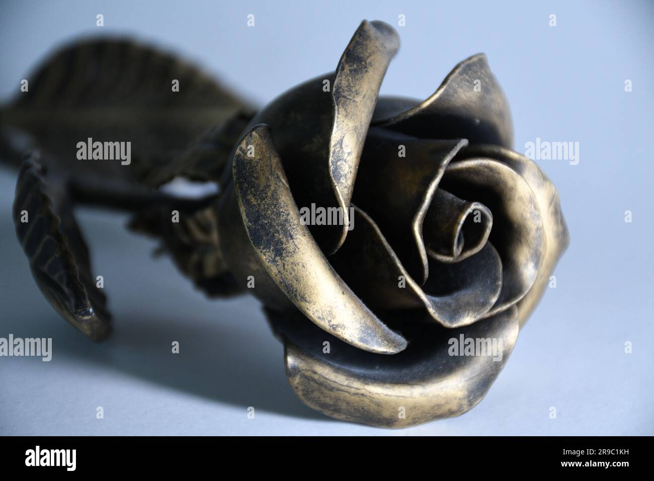 Brass rose with white lights Stock Photo - Alamy