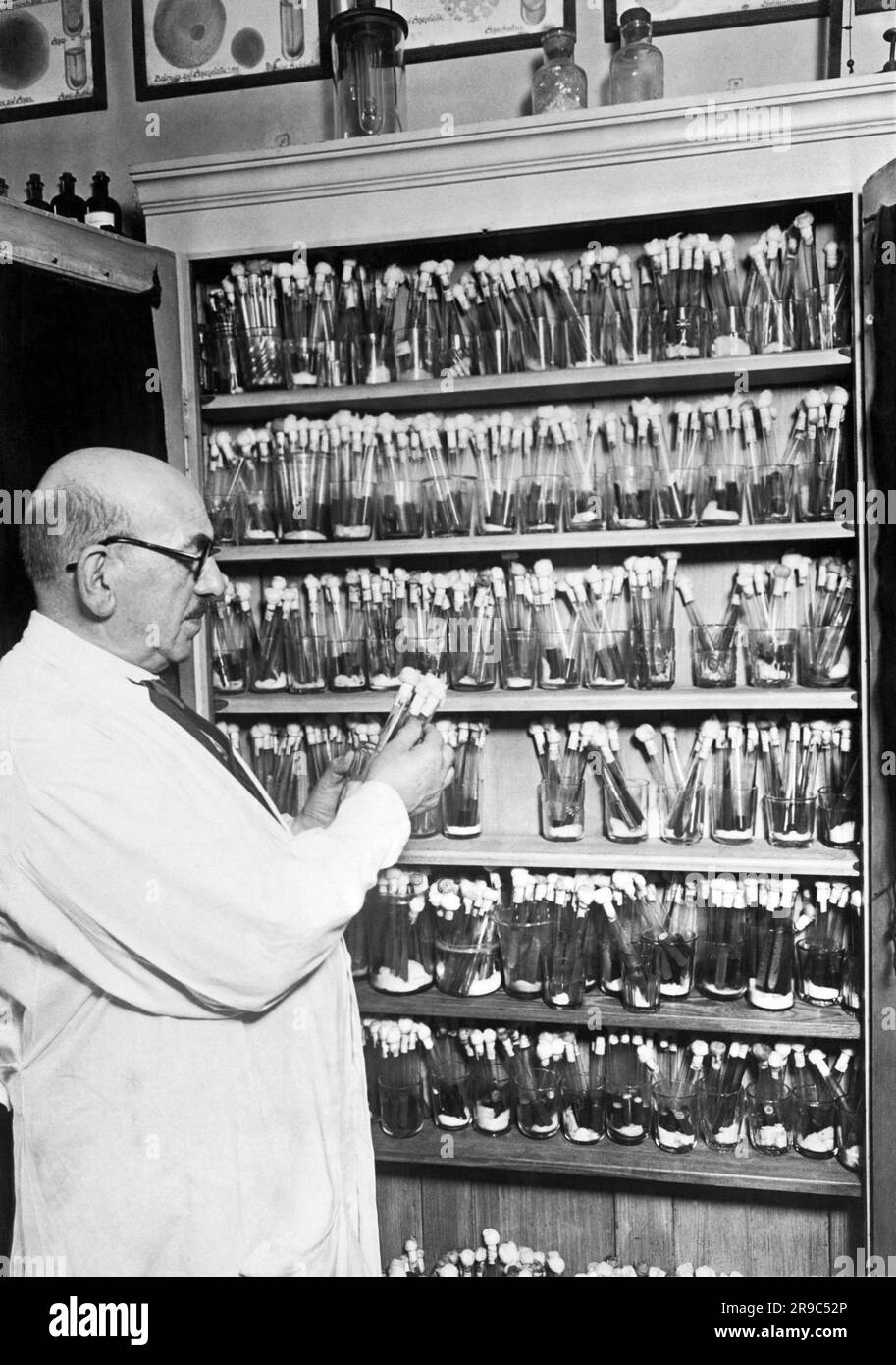 Berlin, Germany: c. 1929 The most modern methods and equipment are used ...