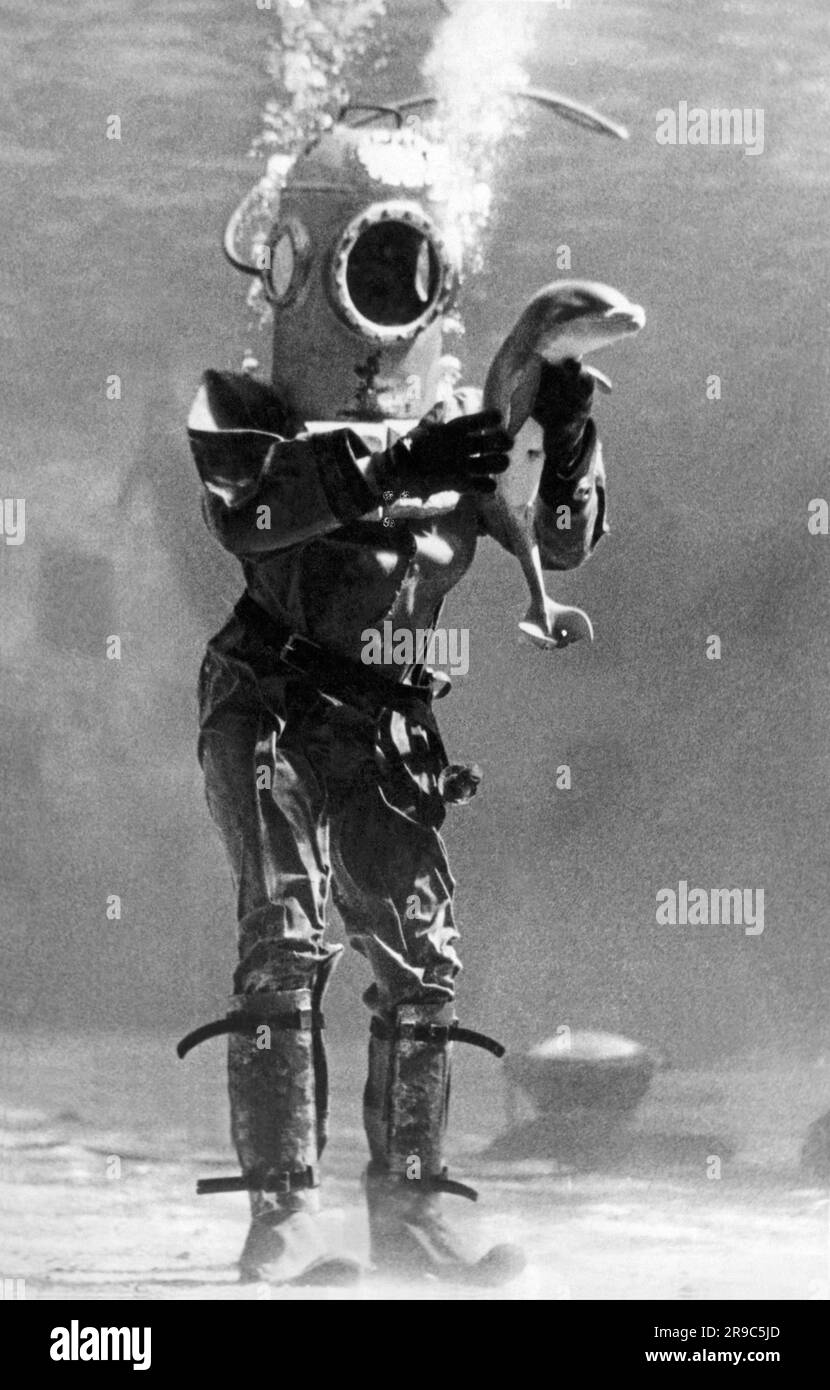 Young porpoise Black and White Stock Photos & Images - Alamy