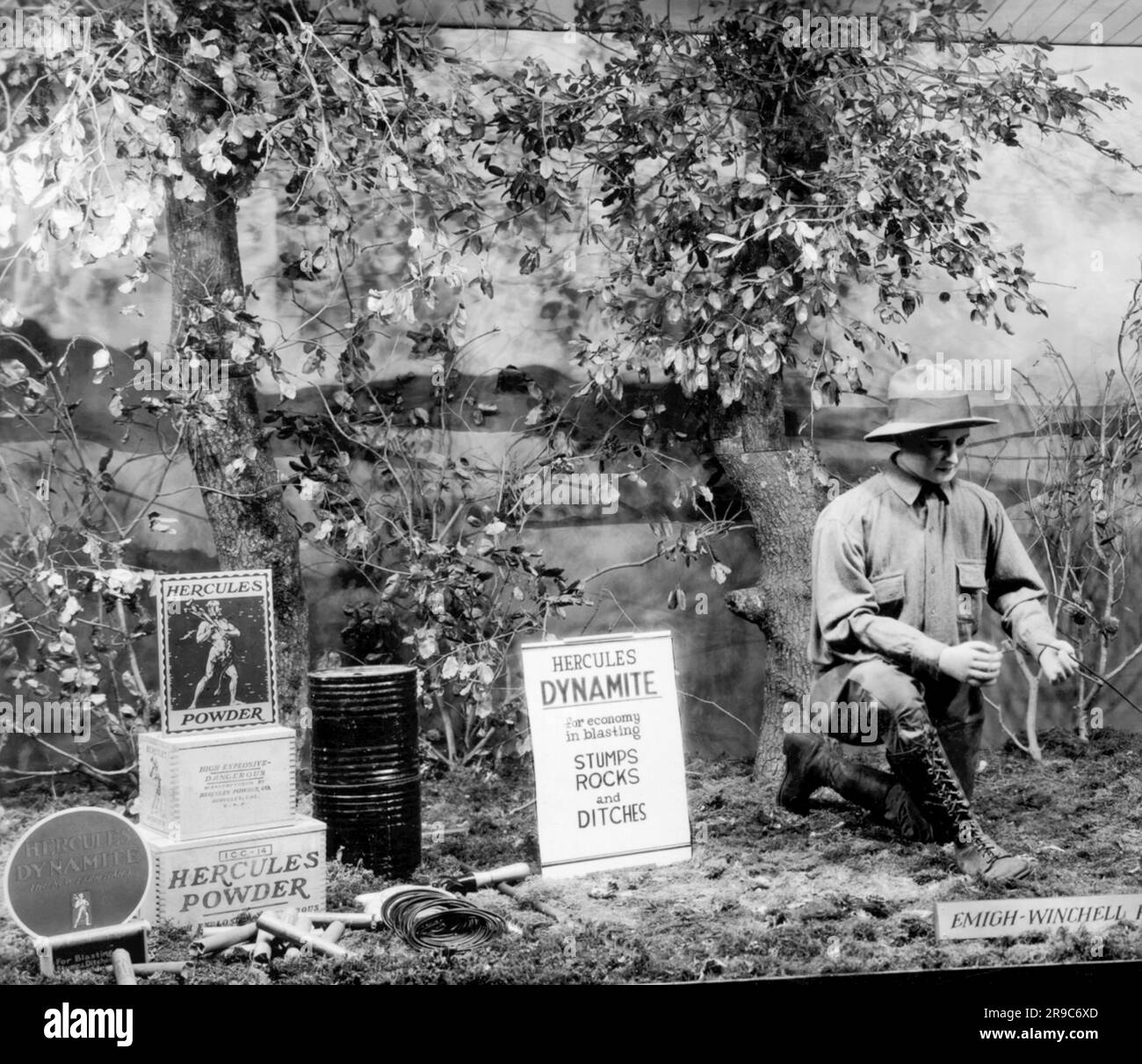 Sacramento, California: c. 1928 A window display for Hercules Dynamite ...