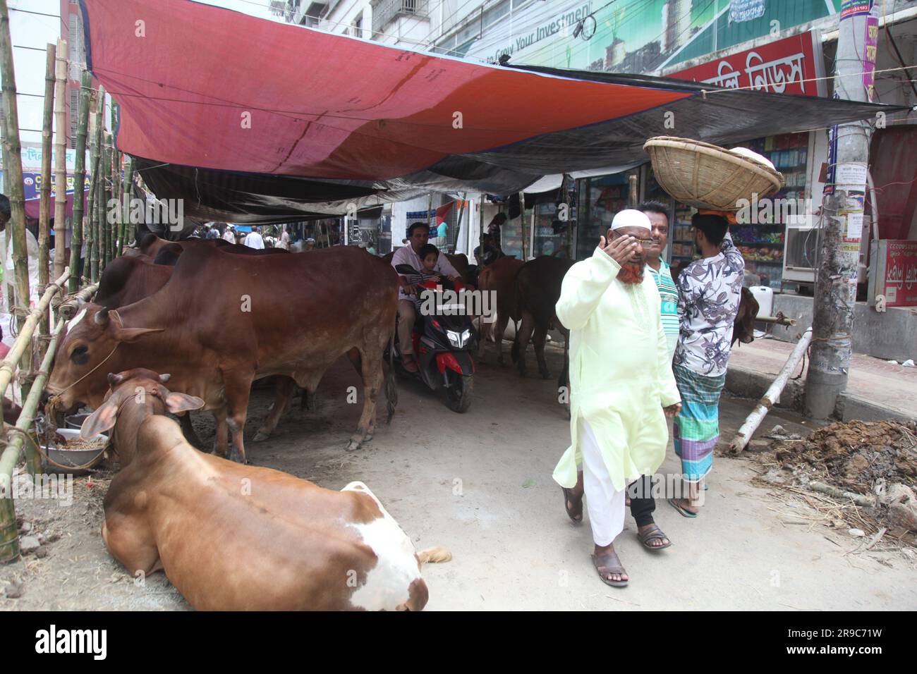 Dhaka Bangladesh 25jun2023,Despite the ban of the city corporation,the ...