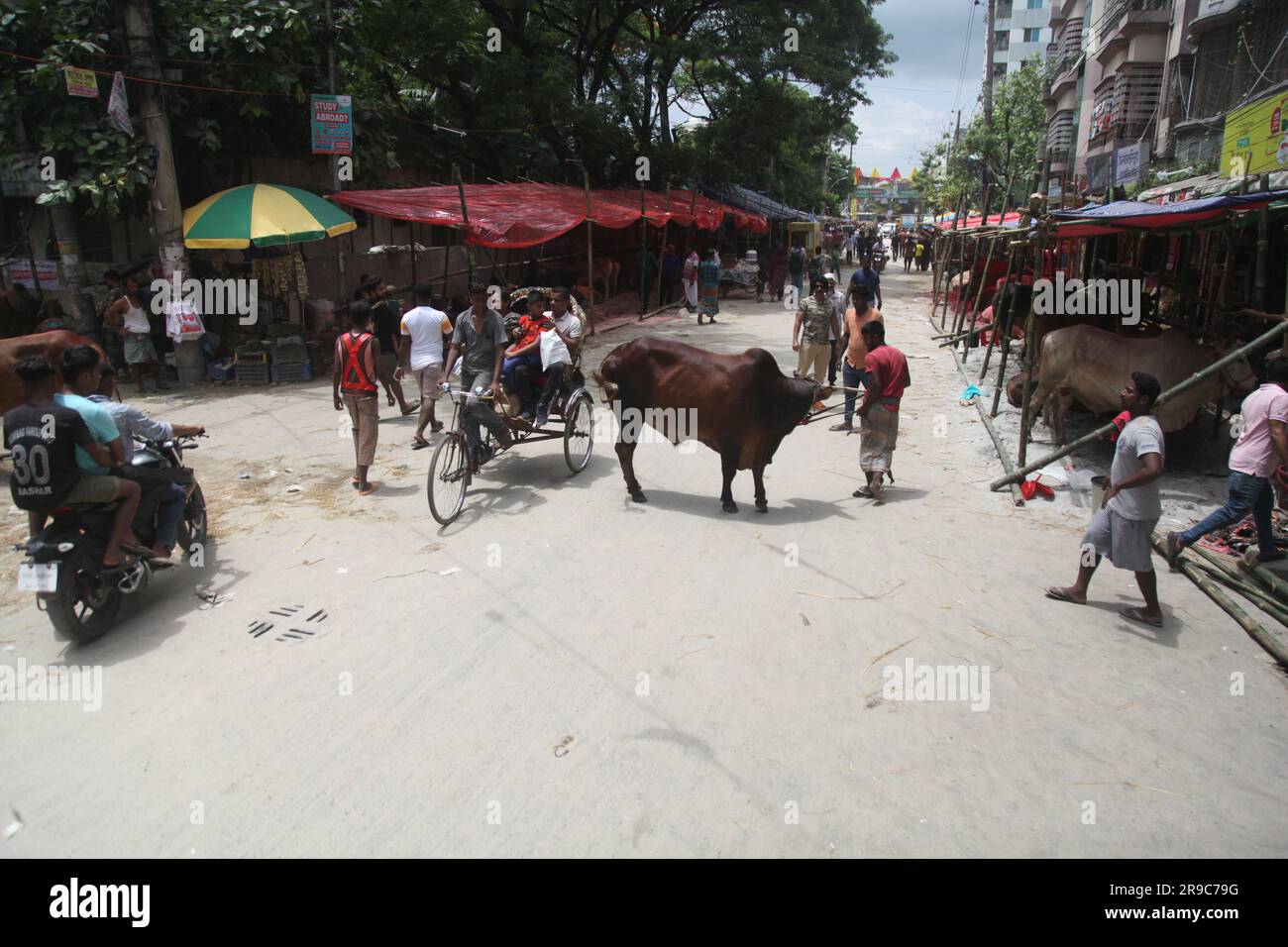 Dhaka Bangladesh 25jun2023,Despite the ban of the city corporation,the ...